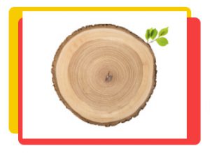 Pamela Youde Nethersole Eastern Hospital (PYNEH) – Alice Ho Miu Ling ...